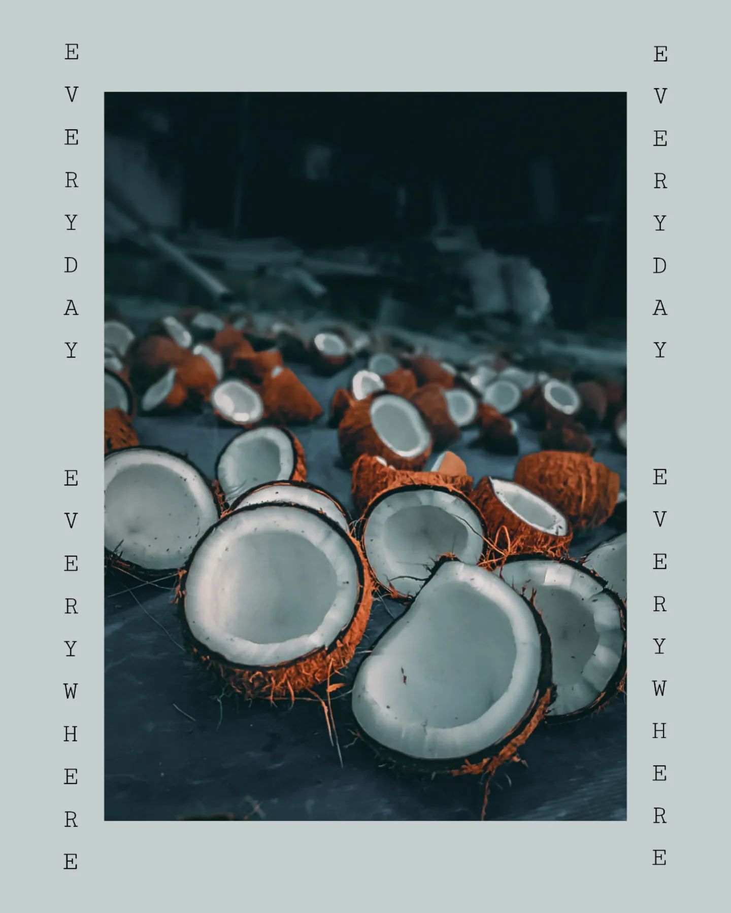 6 frutas keto para incluir en tu dieta - Reto Bienestar